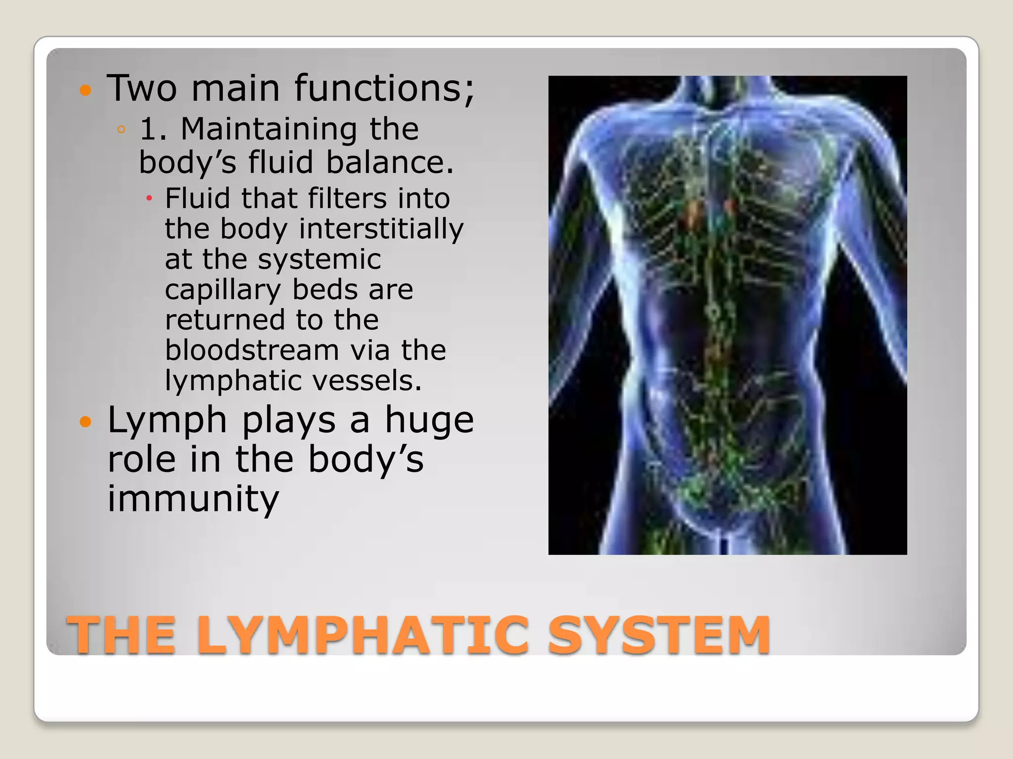 The Lymphatic And Immune System | PPTX