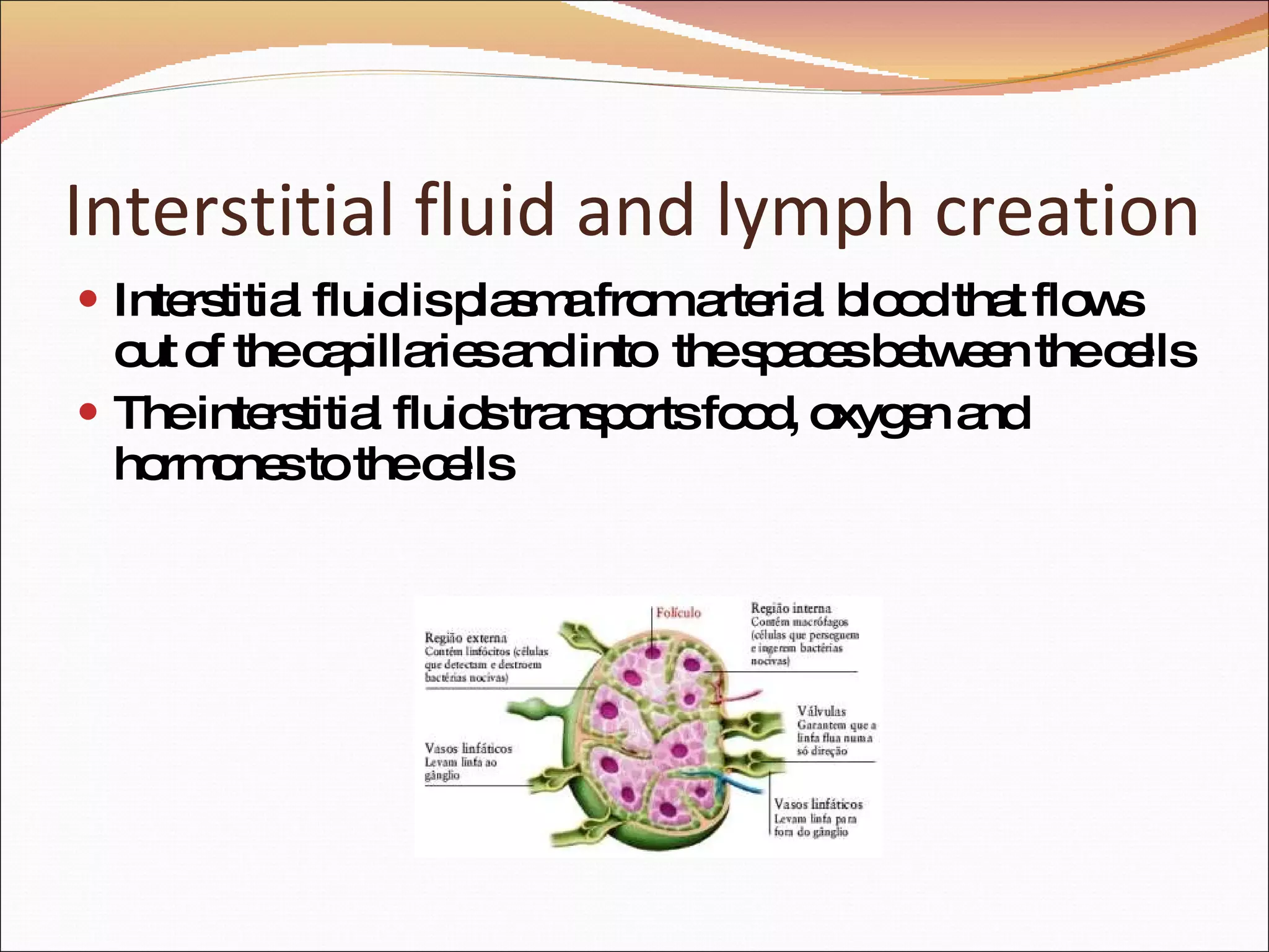The Lymphatic And Immune Systems | PPT