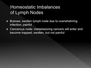 The Lymphatic System | PPTX