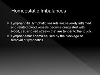 The Lymphatic System | PPTX