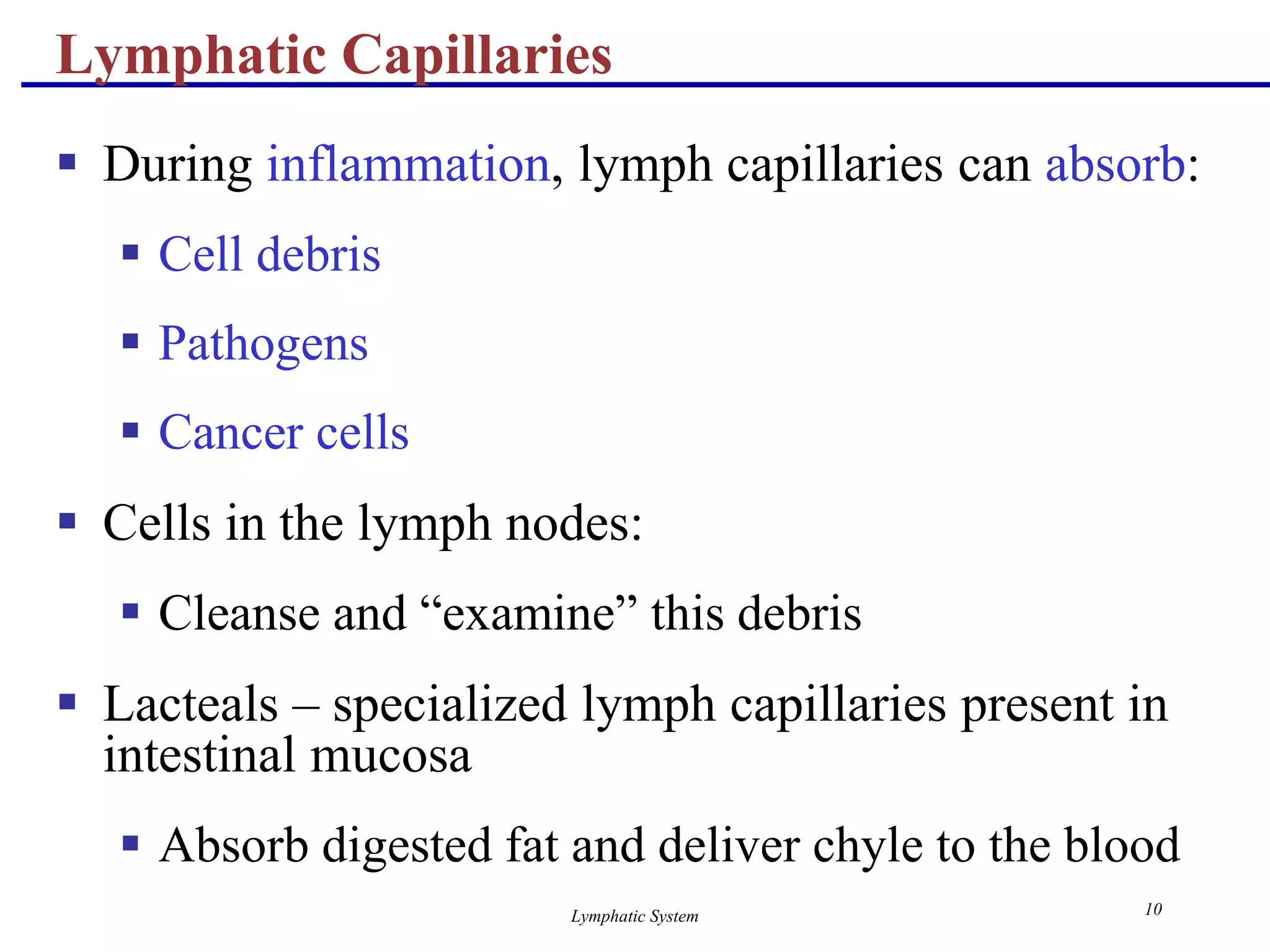 The lymphatic system | PPT