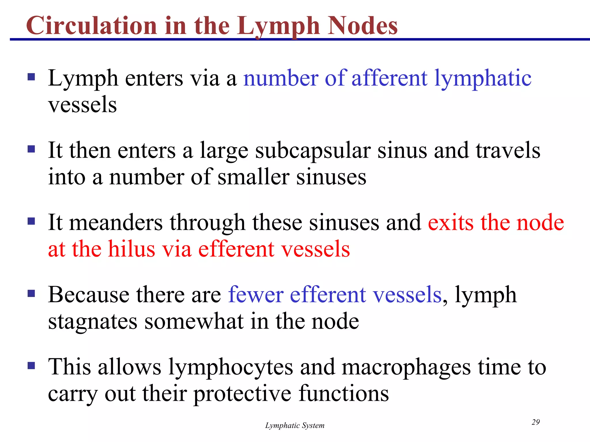 The lymphatic system | PPT