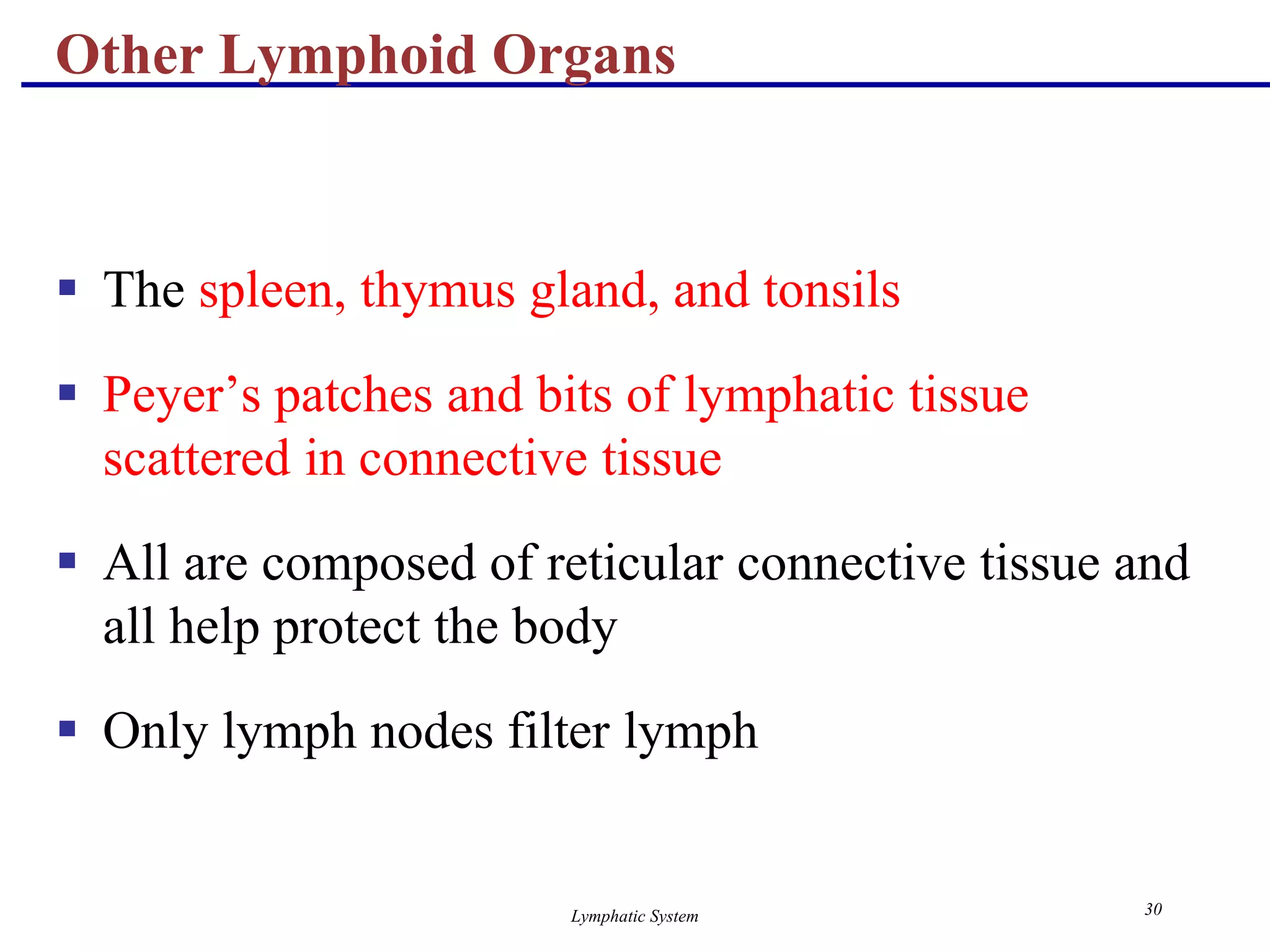 The lymphatic system | PPT