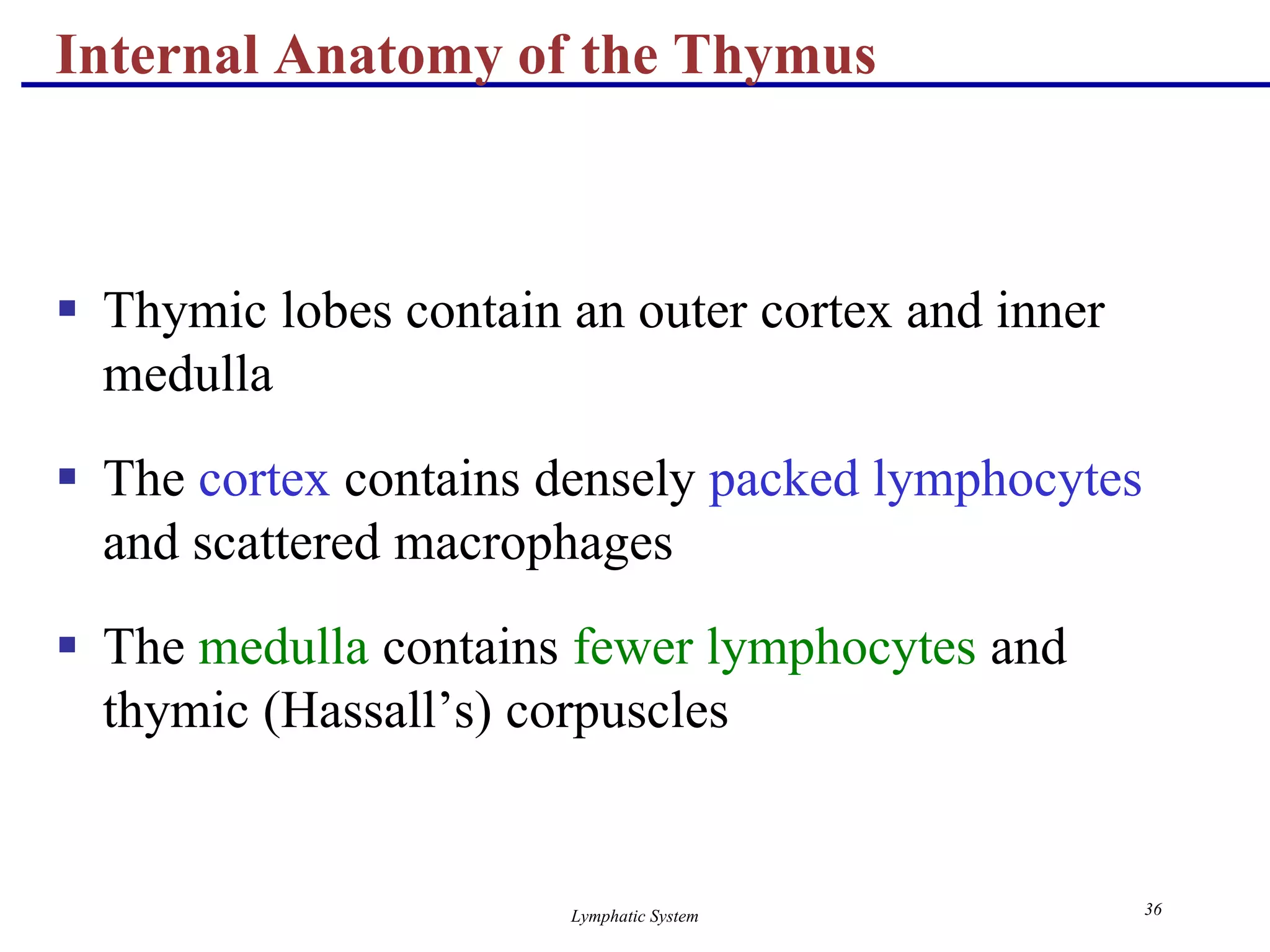 The lymphatic system | PPT