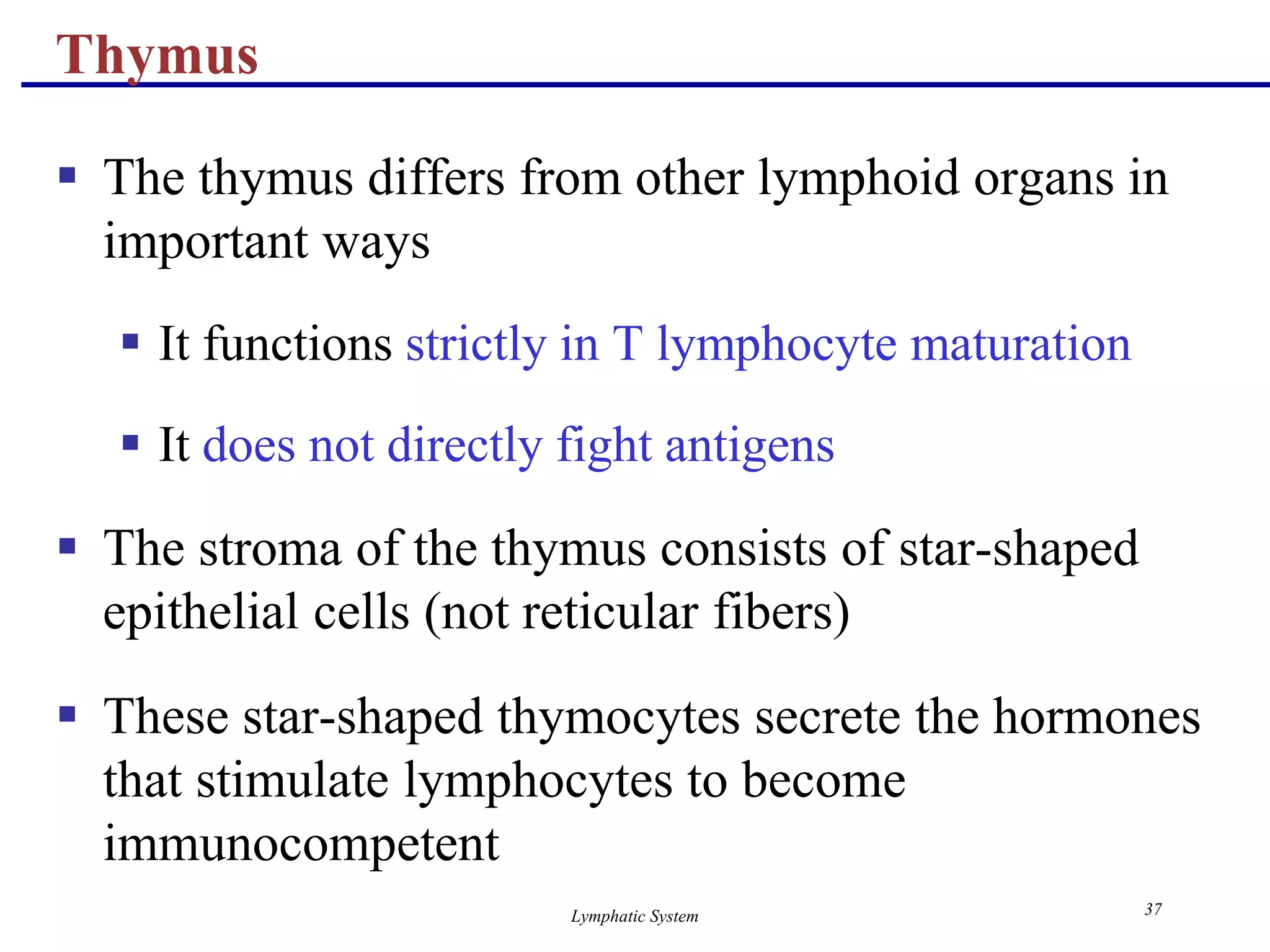 The lymphatic system | PPT