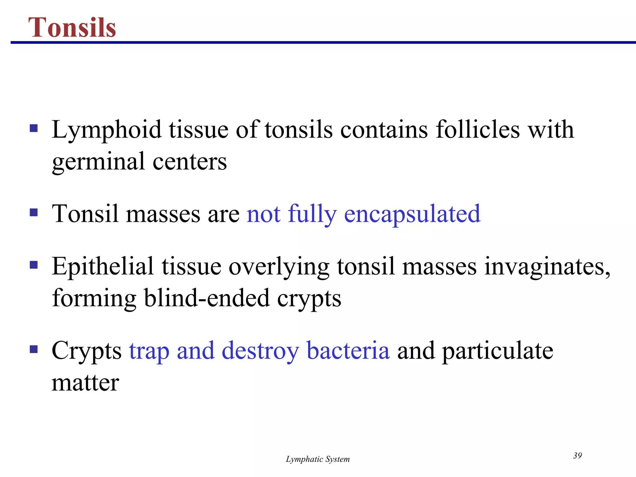 The lymphatic system | PPT