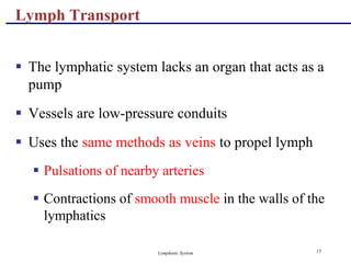 The lymphatic system | PPT
