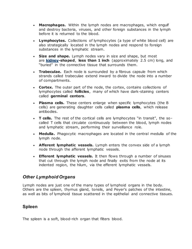 The lymphatic system | PDF