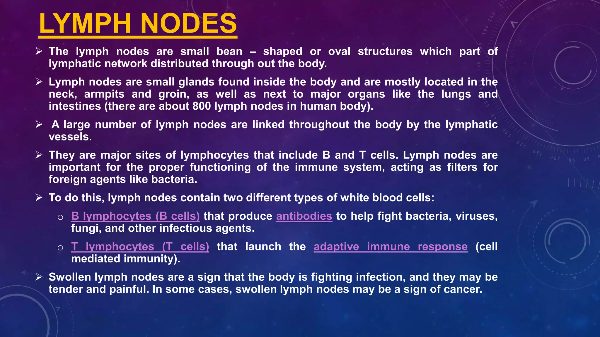 THE LYMPHATIC SYSTEM// LYMPH CIRCULATION//LYMPH VESSELS// LYMPH ORGANS ...