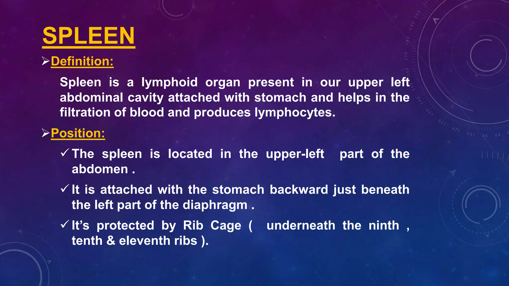 THE LYMPHATIC SYSTEM// LYMPH CIRCULATION//LYMPH VESSELS// LYMPH ORGANS ...