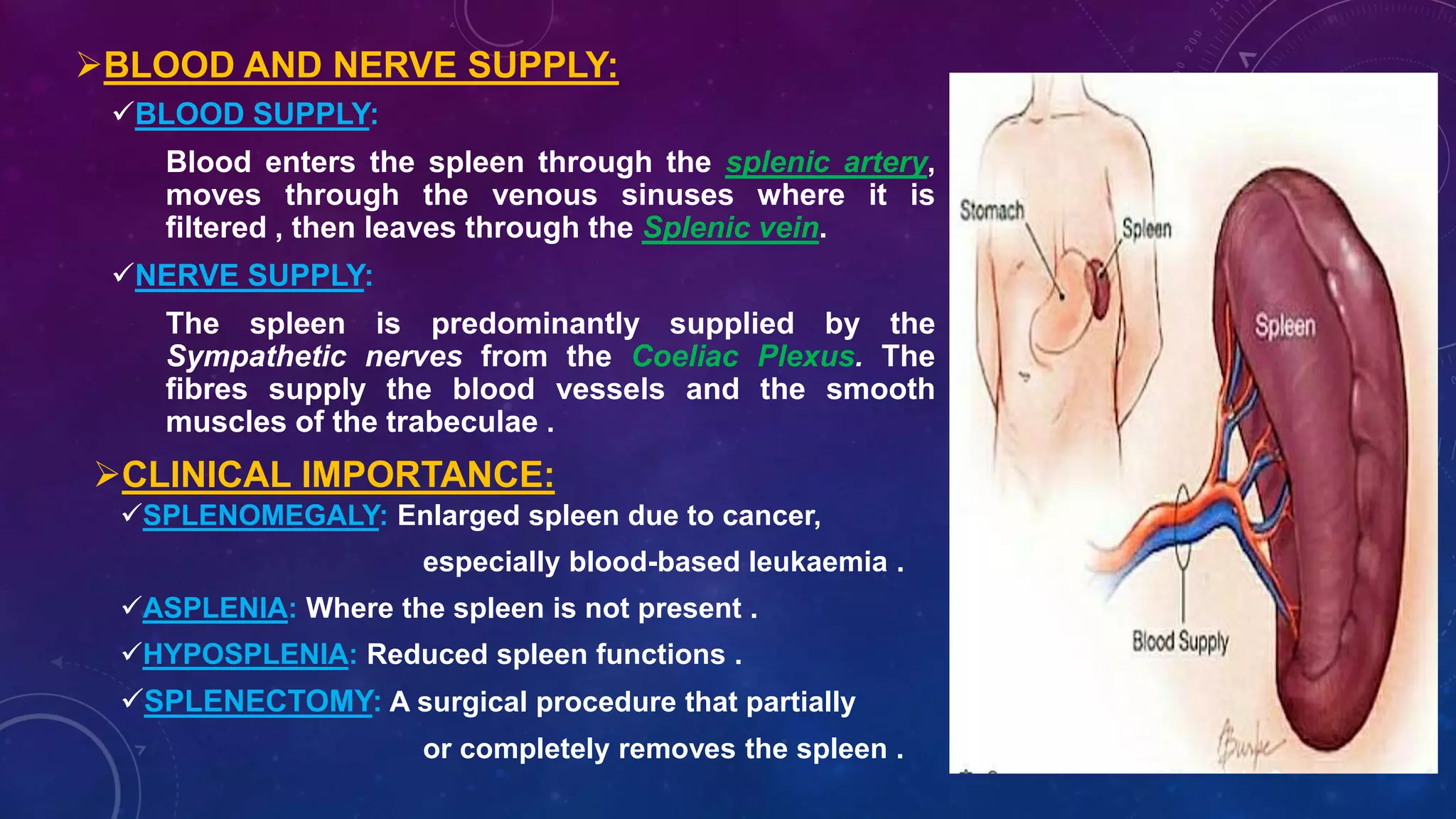 THE LYMPHATIC SYSTEM// LYMPH CIRCULATION//LYMPH VESSELS// LYMPH ORGANS ...