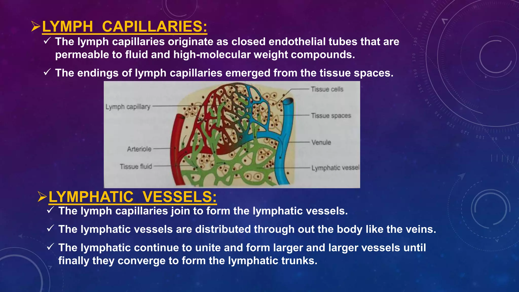 THE LYMPHATIC SYSTEM// LYMPH CIRCULATION//LYMPH VESSELS// LYMPH ORGANS ...