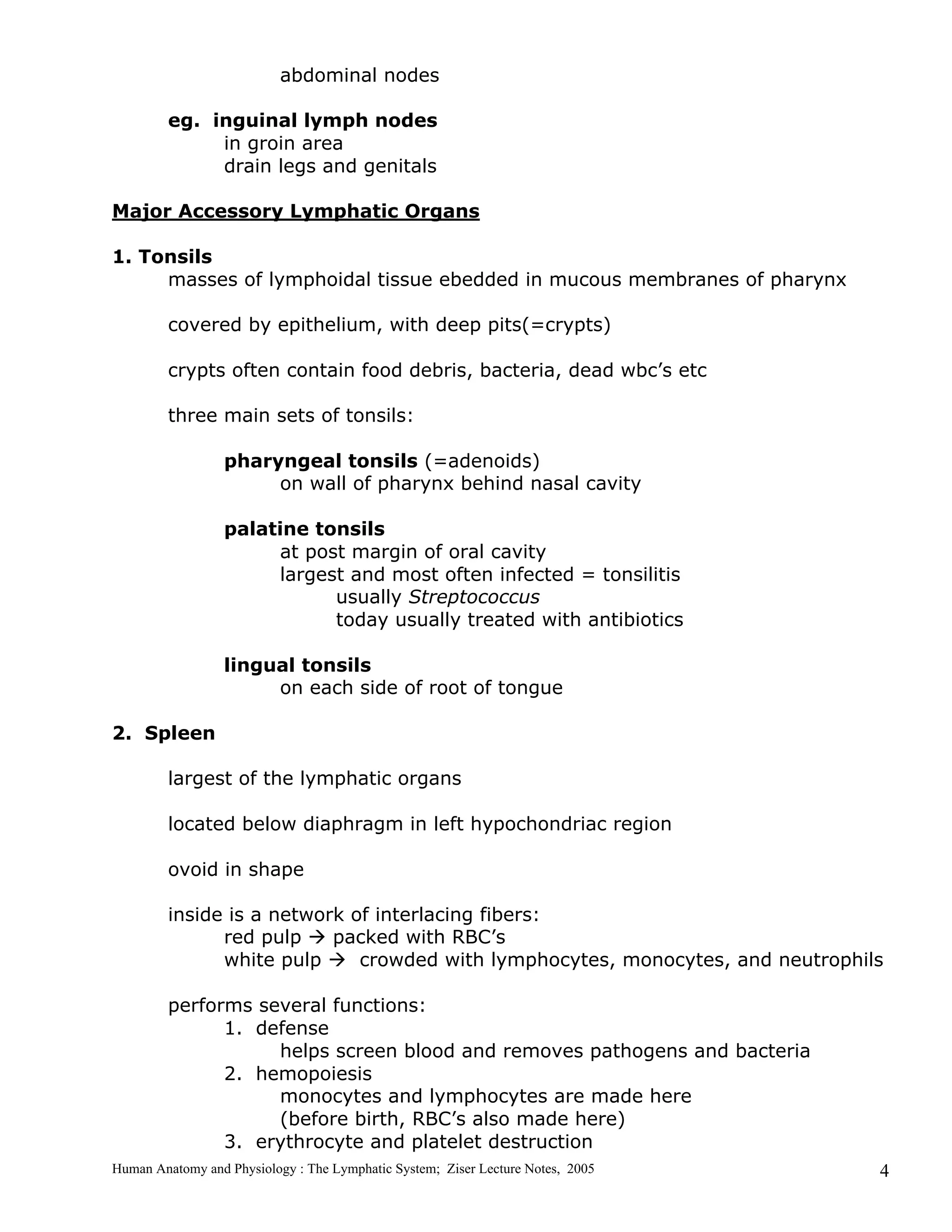 The Lymphatic System.pdf