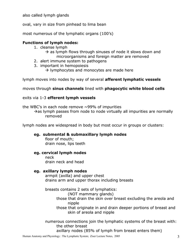 The Lymphatic System.pdf