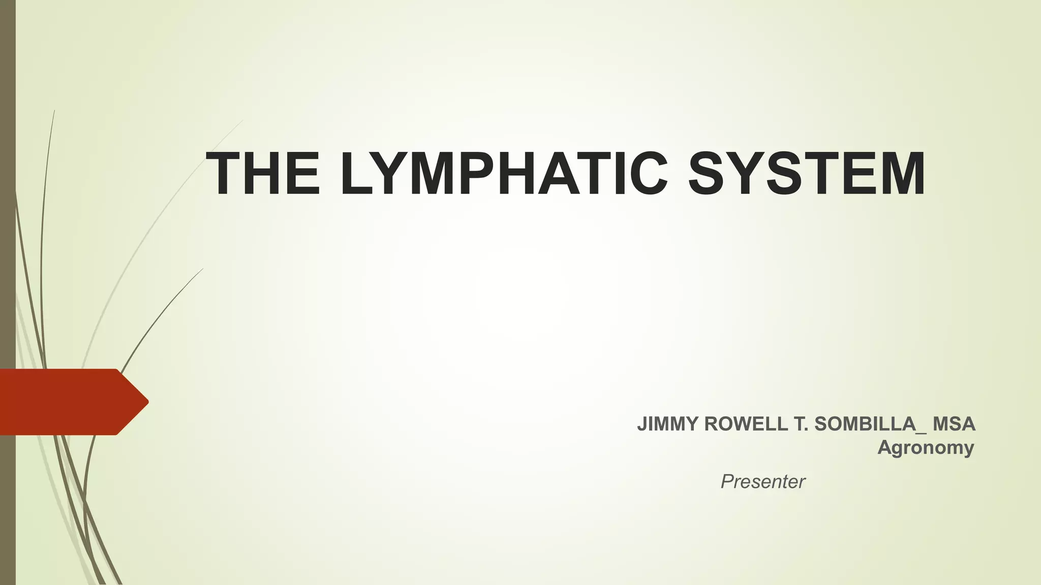 THE LYMPHATIC SYSTEM.pptx