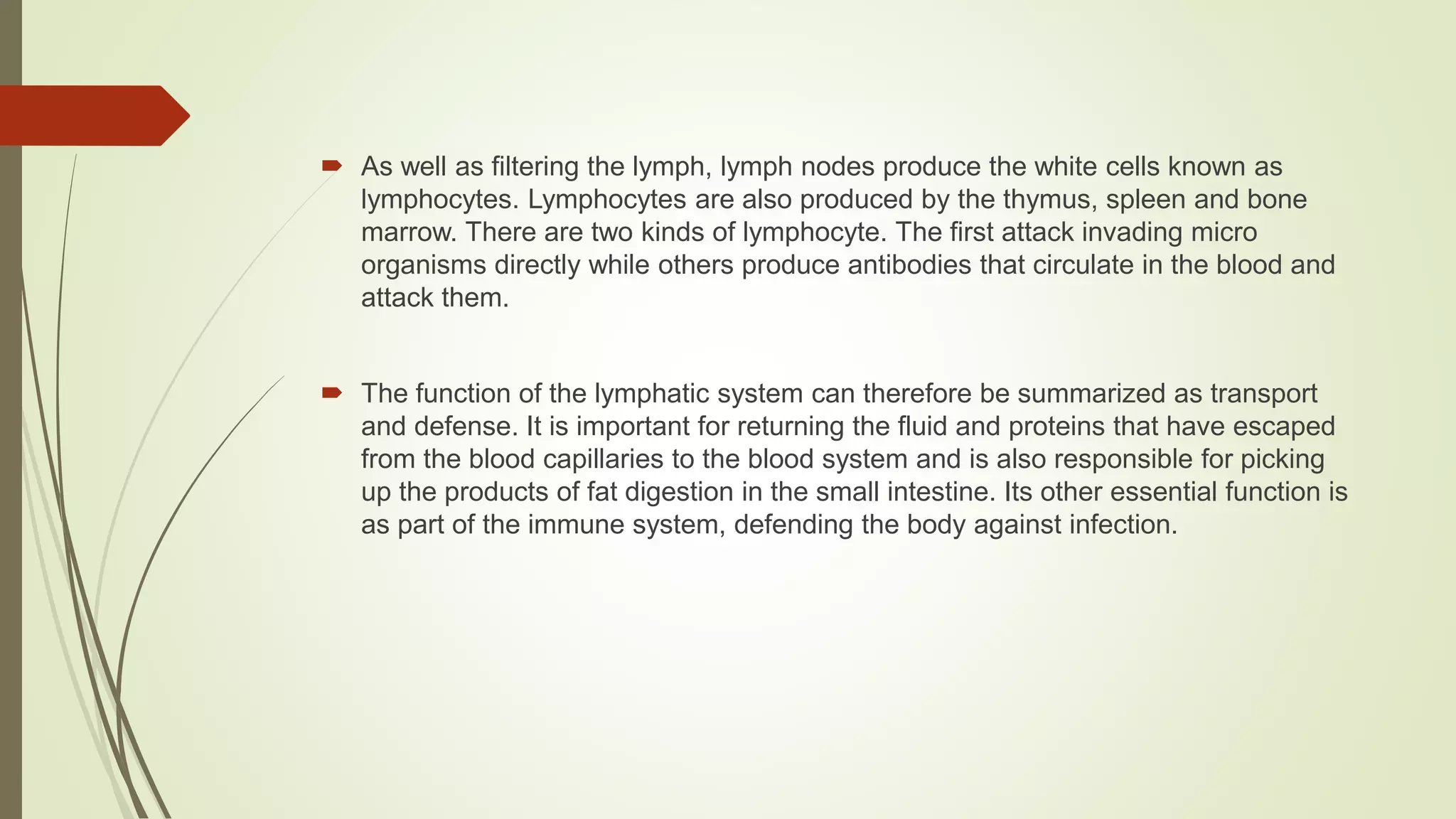 THE LYMPHATIC SYSTEM.pptx