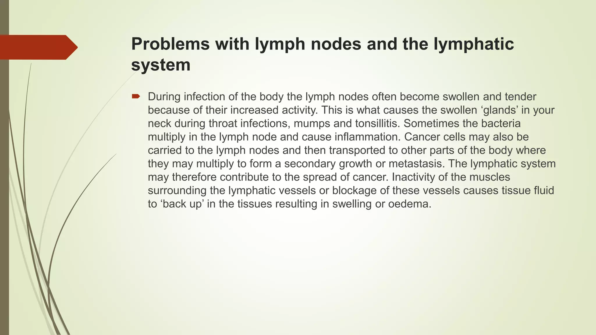 THE LYMPHATIC SYSTEM.pptx