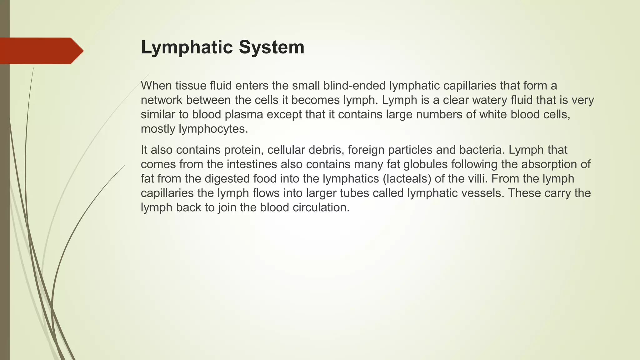 THE LYMPHATIC SYSTEM.pptx