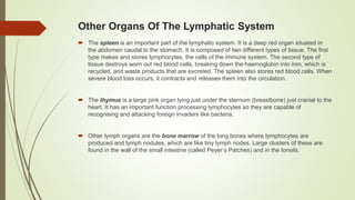 THE LYMPHATIC SYSTEM.pptx