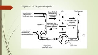 THE LYMPHATIC SYSTEM.pptx