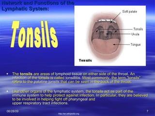 The Lymphatic System Presentation 2 Chapt. 6&7 | PPT