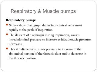 The lymphatic system 08 | PPT