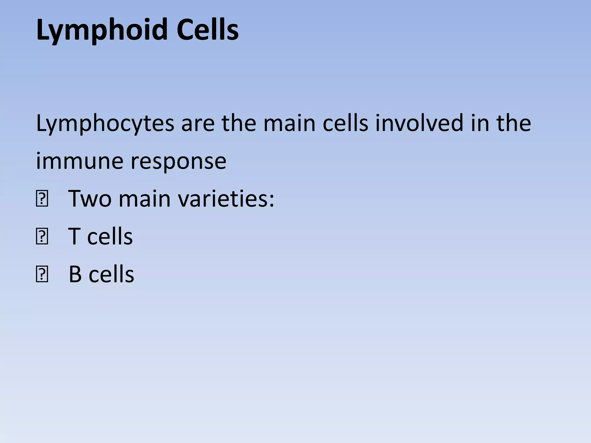 The Lymphatic System & Lymphoid Organs And Tissues | PDF