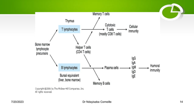 THEPHYSIOLOGY: LYMPHORETICULAR SYSTEM.pdf