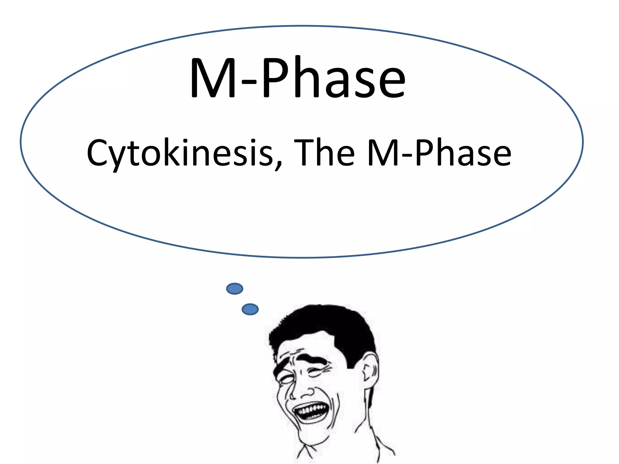 The m phase | PPTX