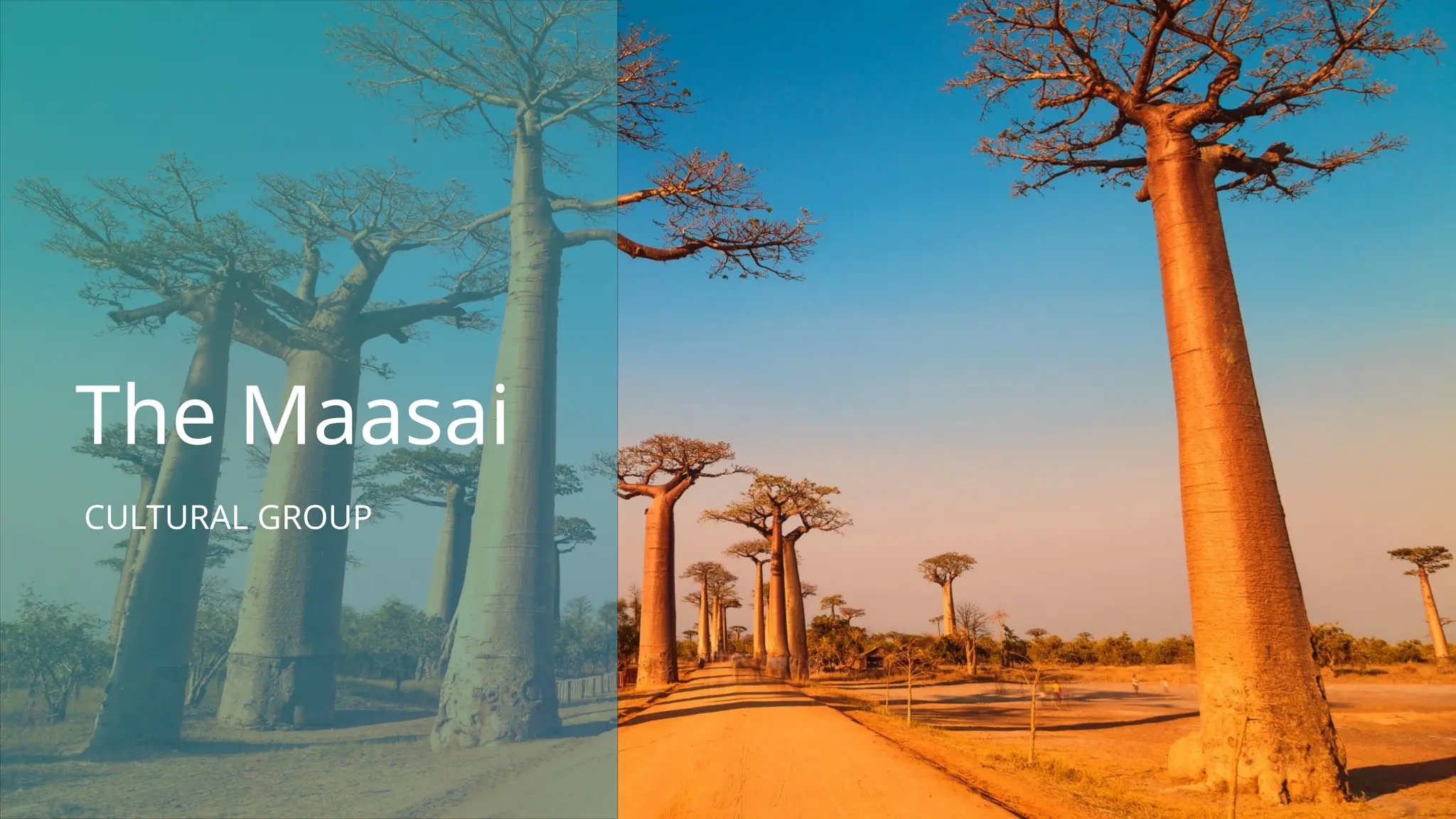 The Maasai. CULTURE PRESENSTATION FROM KENYA | PPTX