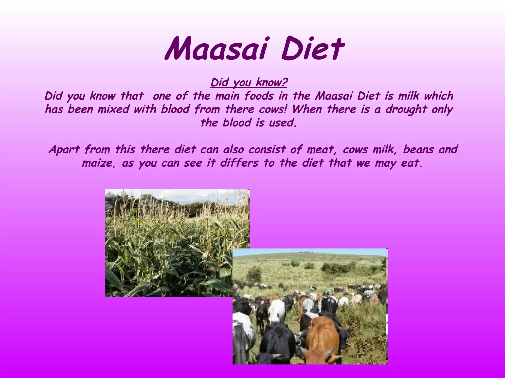 The Maasai Tribe | PPT