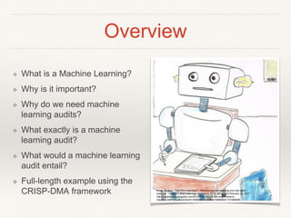The Machine Learning Audit | PPTX