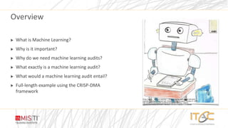 The Machine Learning Audit. MIS ITAC 2017 Keynote | PPTX