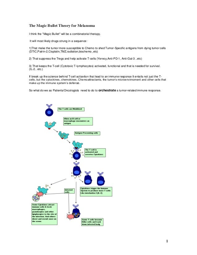 Magic Bullet Theory Diagram