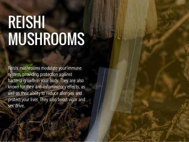 The Magic Of Mushrooms For The Best Of Sex Of Your Life
