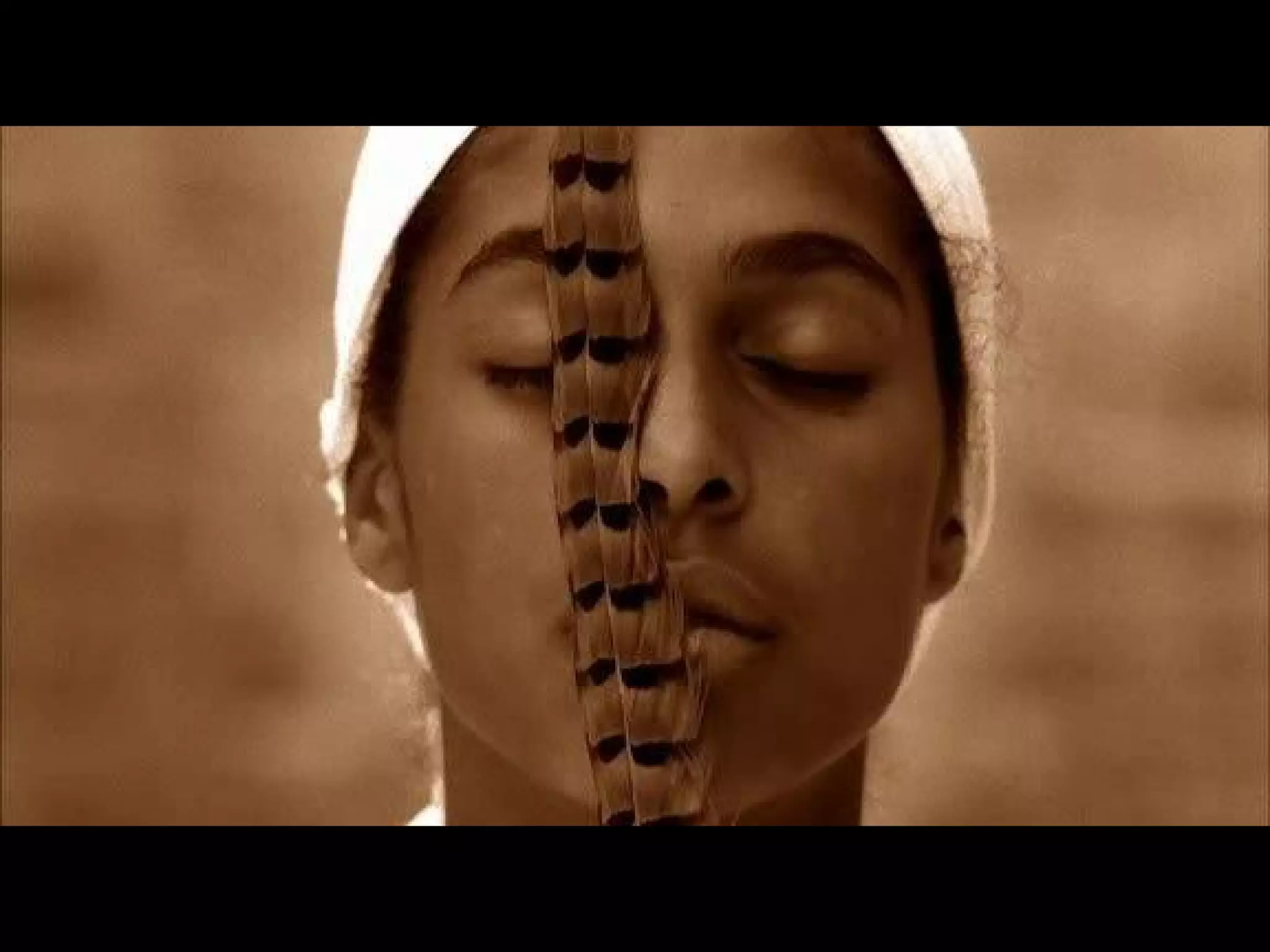 The Magic of the Photographer Gregory Colbert | PPS