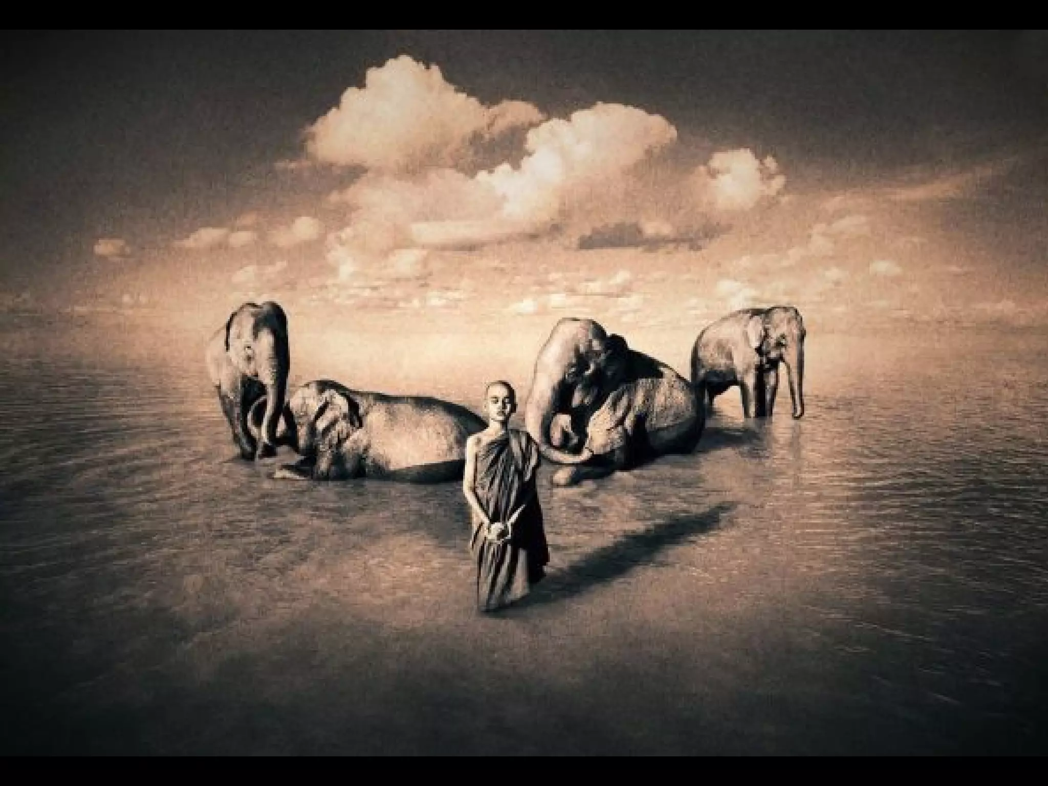 The Magic of the Photographer Gregory Colbert | PPS