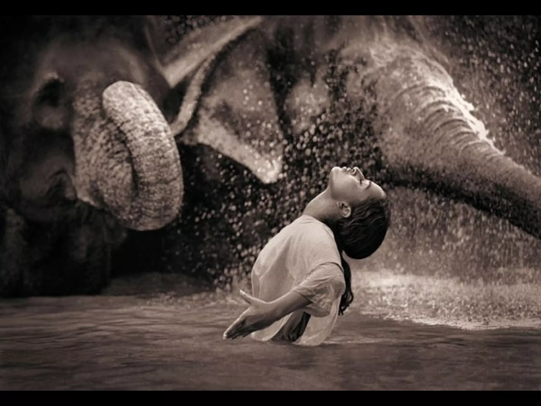 The Magic of the Photographer Gregory Colbert | PPT
