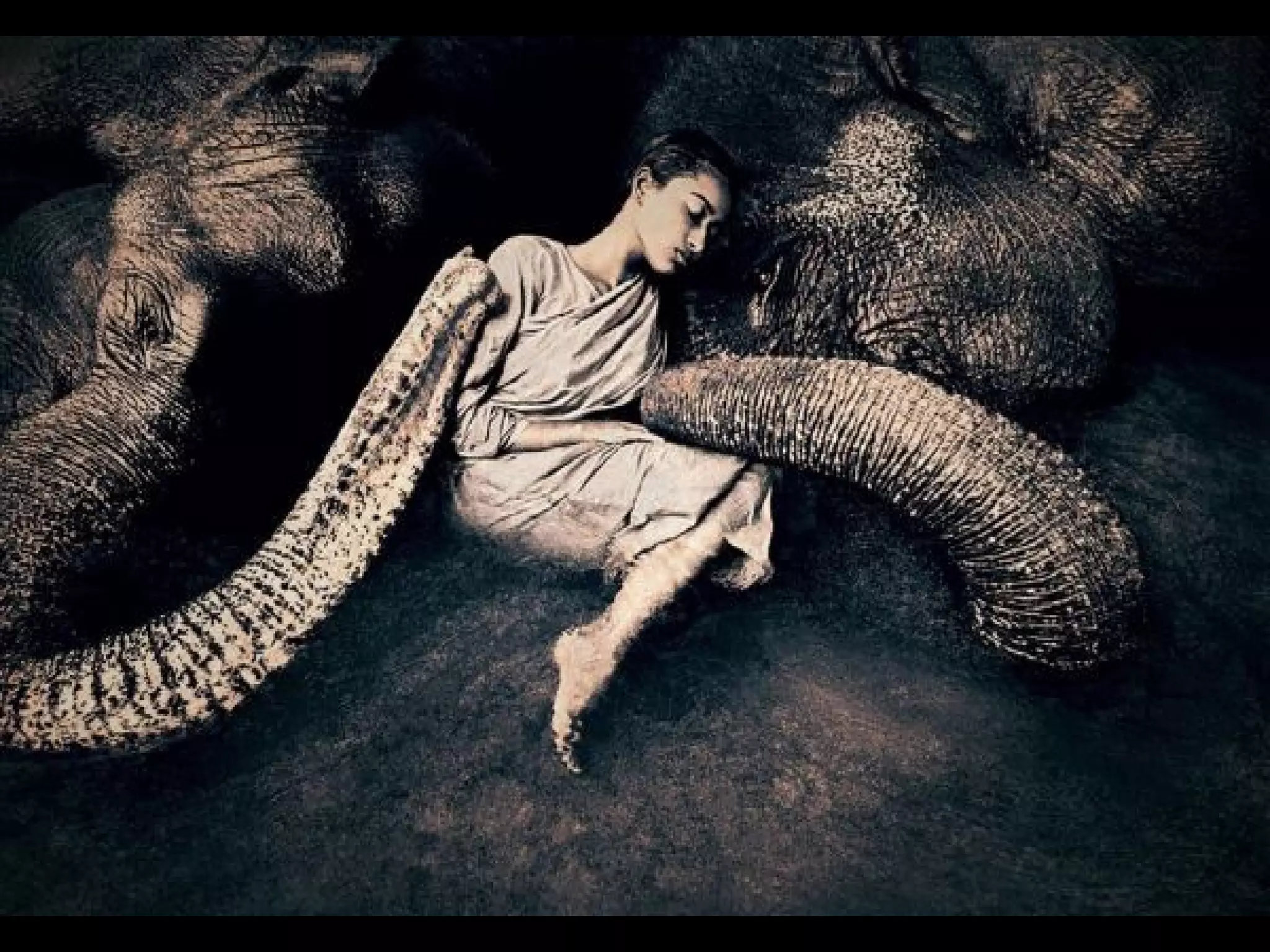 The Magic of the Photographer Gregory Colbert | PPS