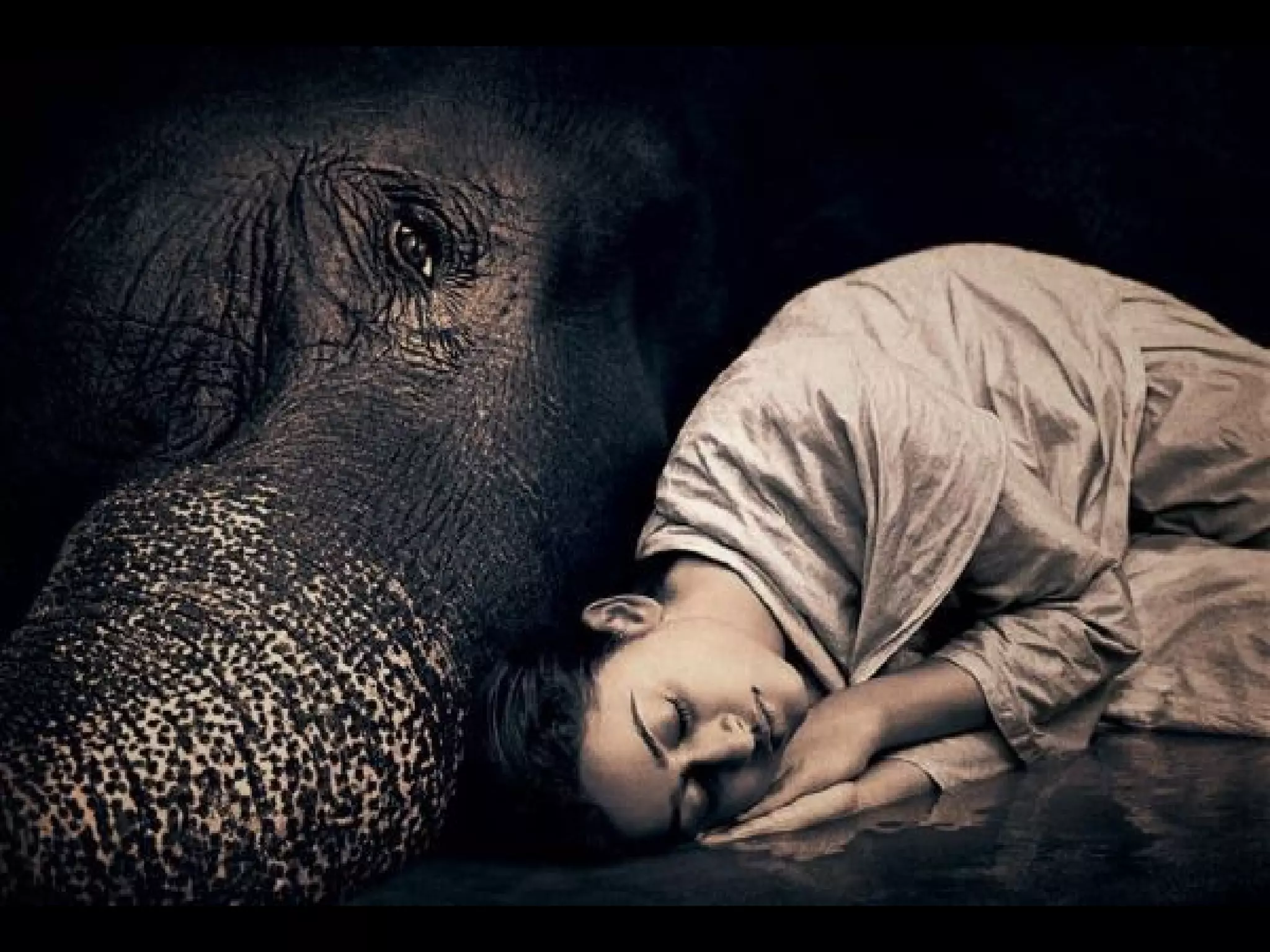 The Magic of the Photographer Gregory Colbert | PPS