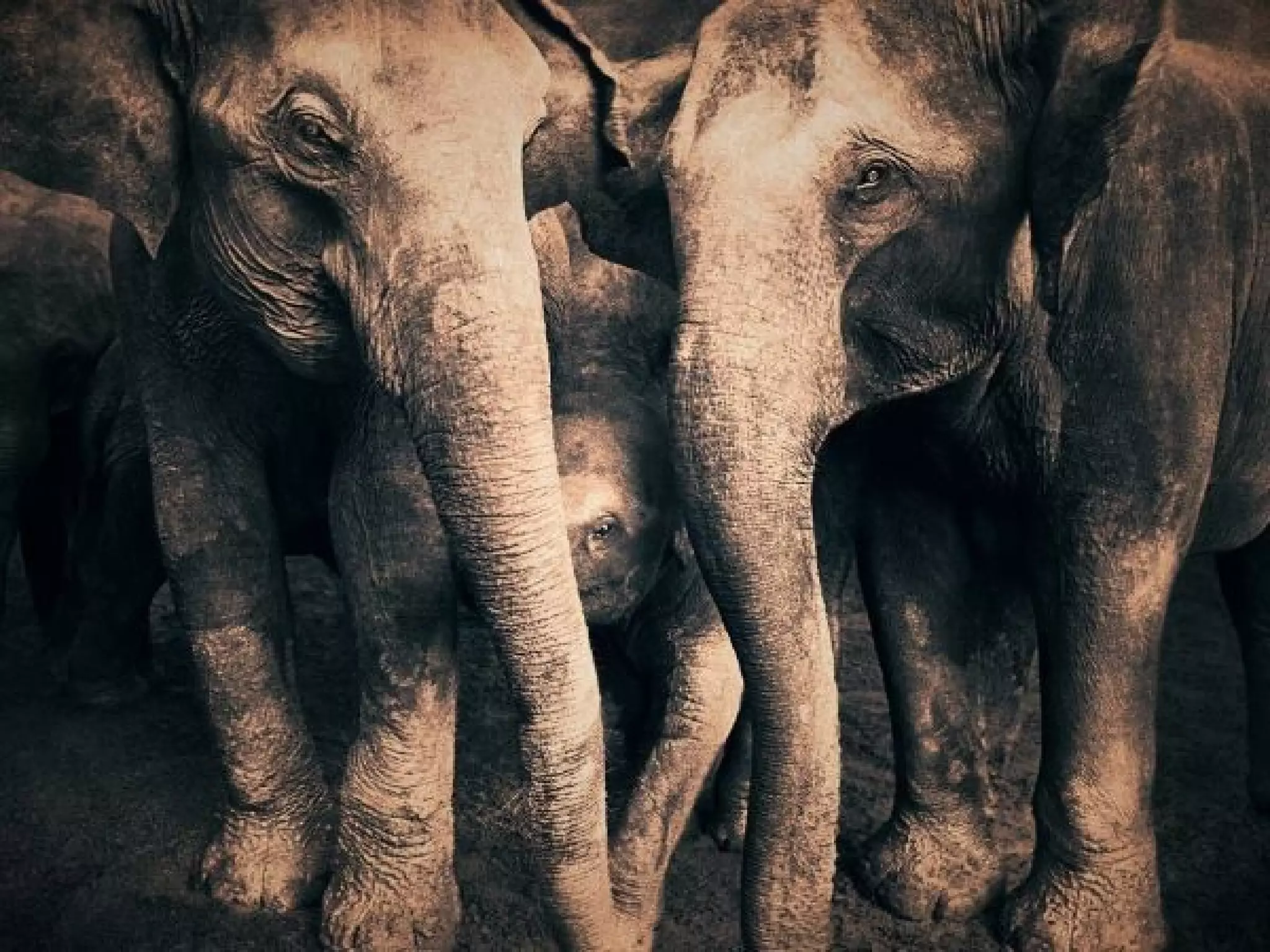 The Magic of the Photographer Gregory Colbert | PPS