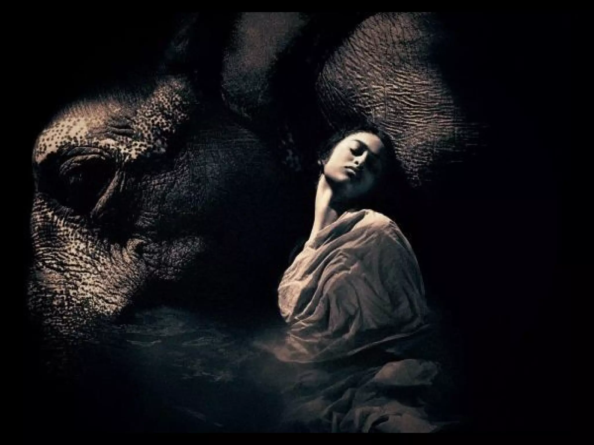 The Magic of the Photographer Gregory Colbert | PPS