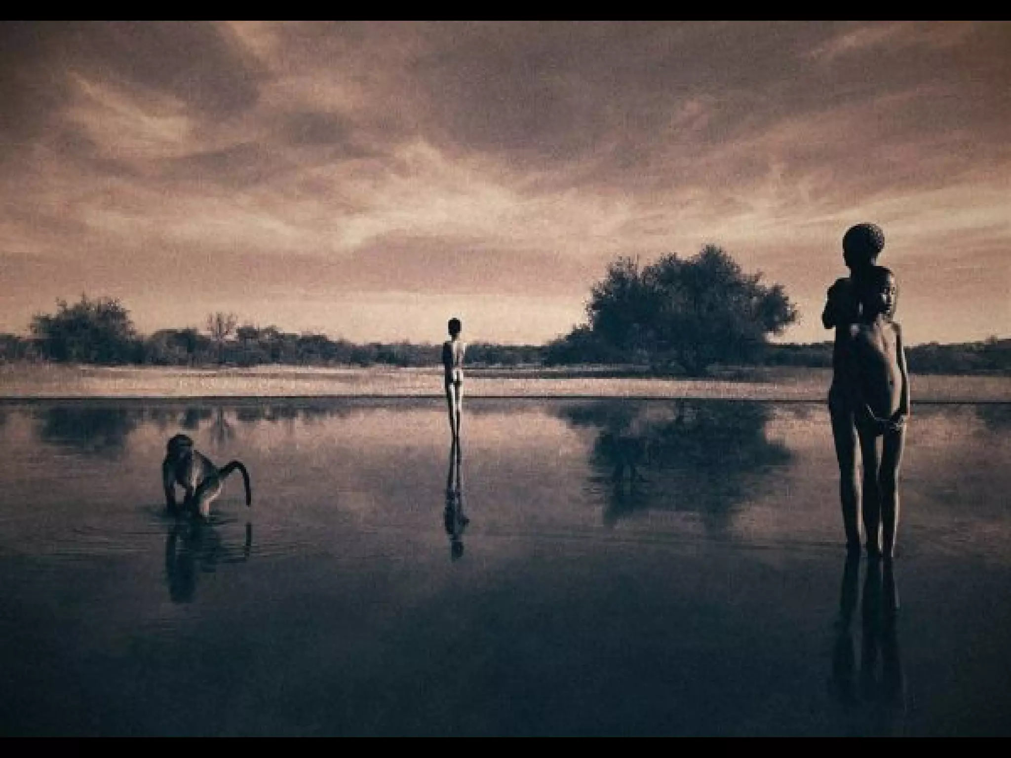 The Magic of the Photographer Gregory Colbert | PPS