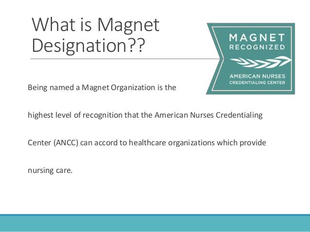 The Magnet Journey