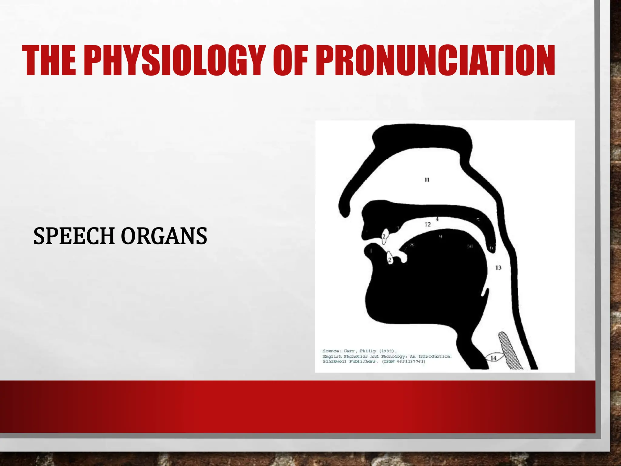 The Main Features of Pronunciation.pptx