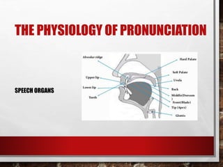 The Main Features of Pronunciation.pptx