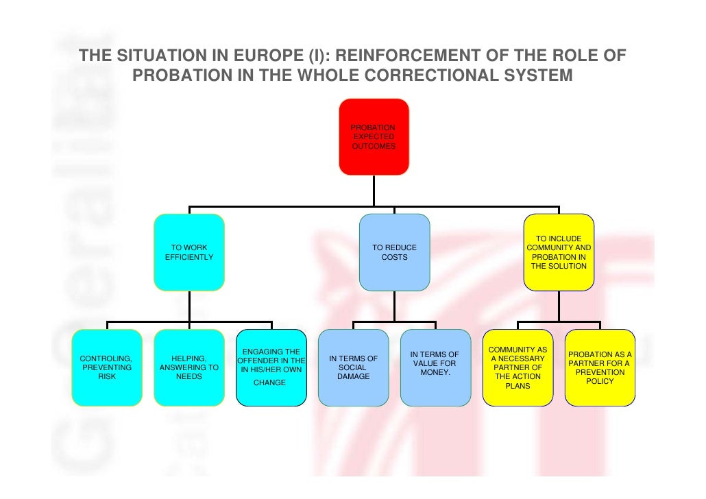 The main features of the probation service in catalonia