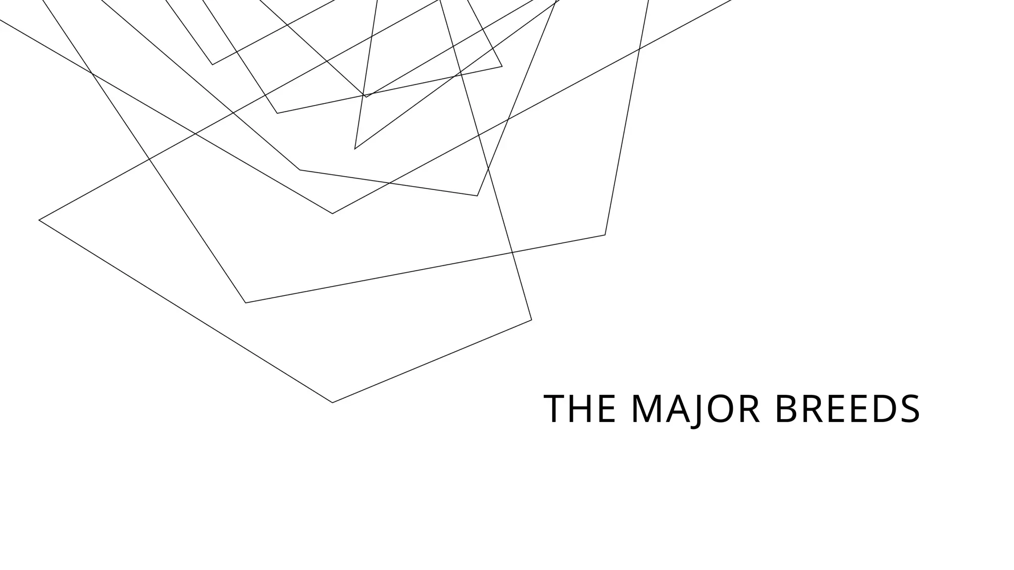 The major breeds.pptx................... | PPTX