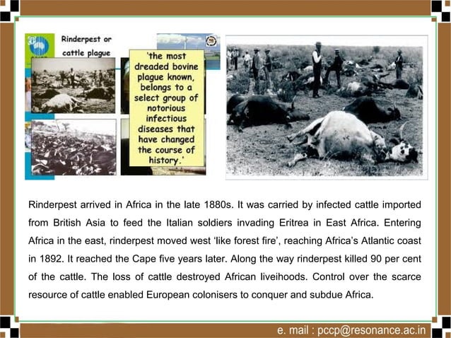 The making of a global world | PPSX