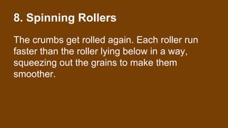 The Making of Chocolate | PDF